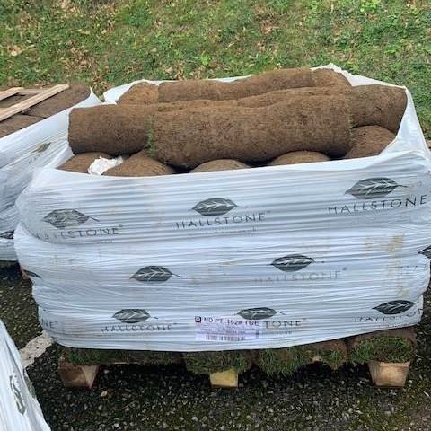 Wessex® Coolfresh Turf (Hallstone) | Stone Zone & Landscaping Centre