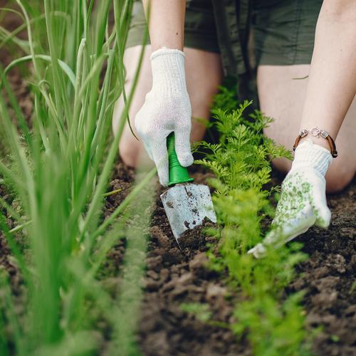 2023 Landscaping Trends I Stone Zone & Landscaping Centre I Supplying ... 2023 Landscaping Trends I Stone Zone & Landscaping Centre I Supplying ...